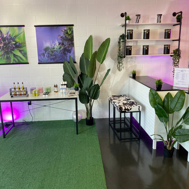 The Hemp Club of Texas - Legal Cannabis Lounge & Flower Bar